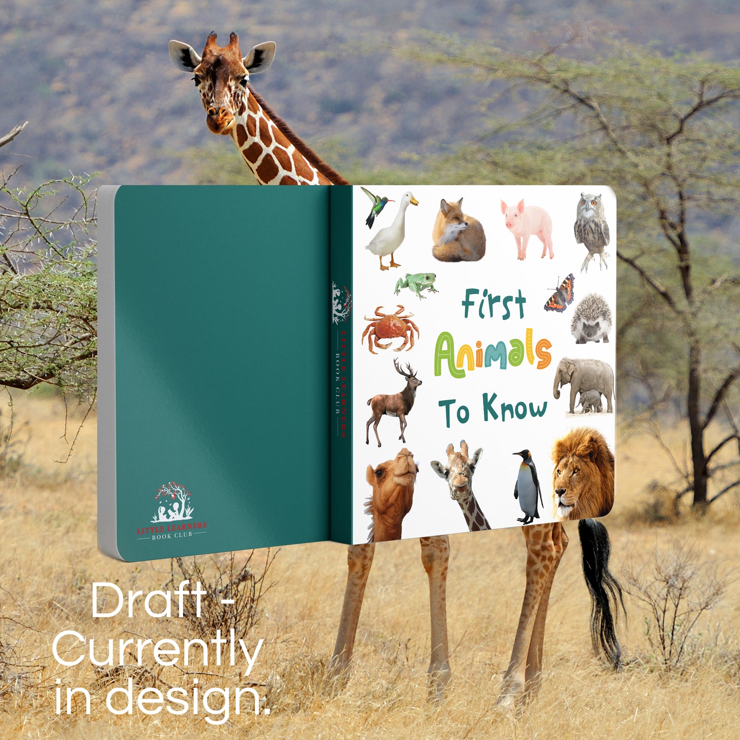 Little Learners Book Club - Teaching Children About Pets